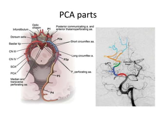 ANATOMY OF TENTORIUM INCISURA | PPTX