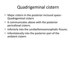 ANATOMY OF TENTORIUM INCISURA | PPTX