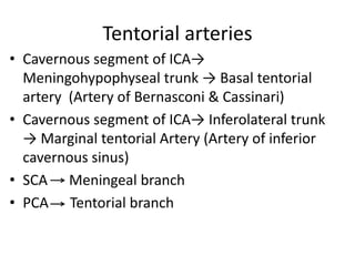 ANATOMY OF TENTORIUM INCISURA | PPTX