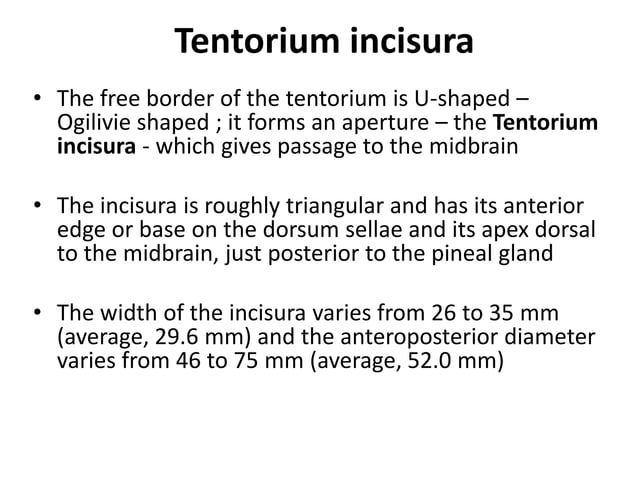 ANATOMY OF TENTORIUM INCISURA | PPTX