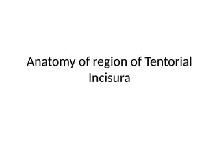 ANATOMY OF TENTORIUM INCISURA for neurosurgery.pptx