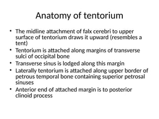 ANATOMY OF TENTORIUM INCISURA for neurosurgery.pptx