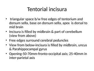 ANATOMY OF TENTORIUM INCISURA for neurosurgery.pptx