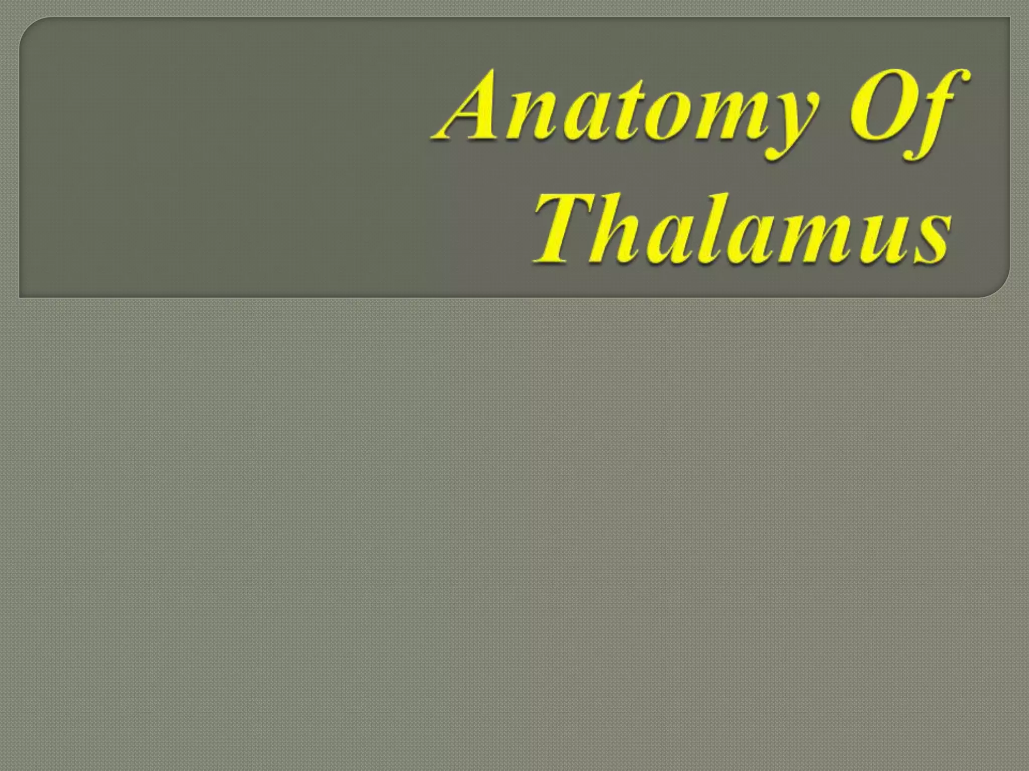 Anatomy of THALAMUS.pptx
