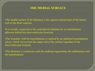 Anatomy of THALAMUS.pptx