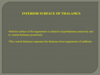 Anatomy of THALAMUS.pptx