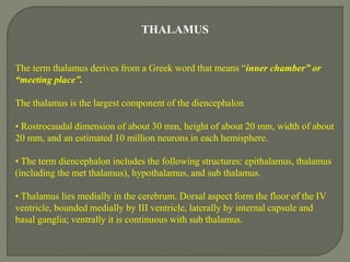 Anatomy of THALAMUS.pptx
