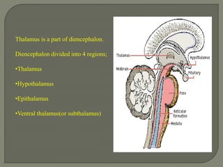 Anatomy of THALAMUS.pptx