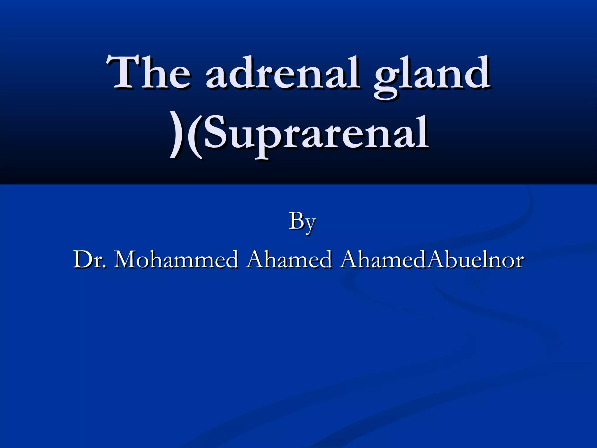 Anatomy of the adrenal gland | PPT