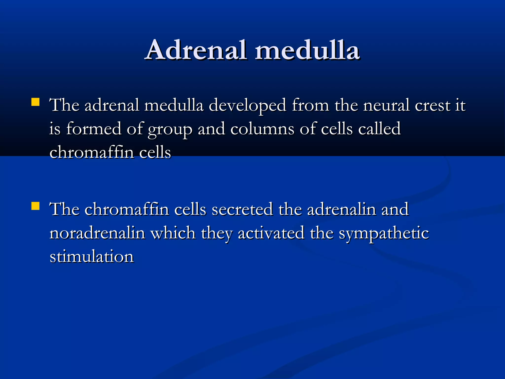 Anatomy of the adrenal gland | PPT