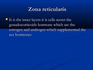 Anatomy of the adrenal gland | PPT