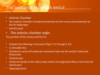 Anatomy of the Angle of Anterior Chamber.pptx