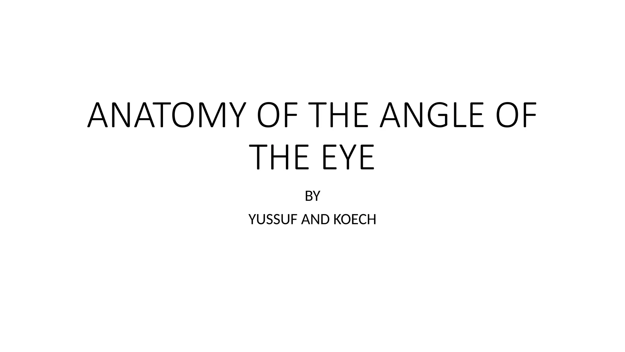 ANATOMY OF THE ANGLE OF THE EYE.ophthalmology | PPT