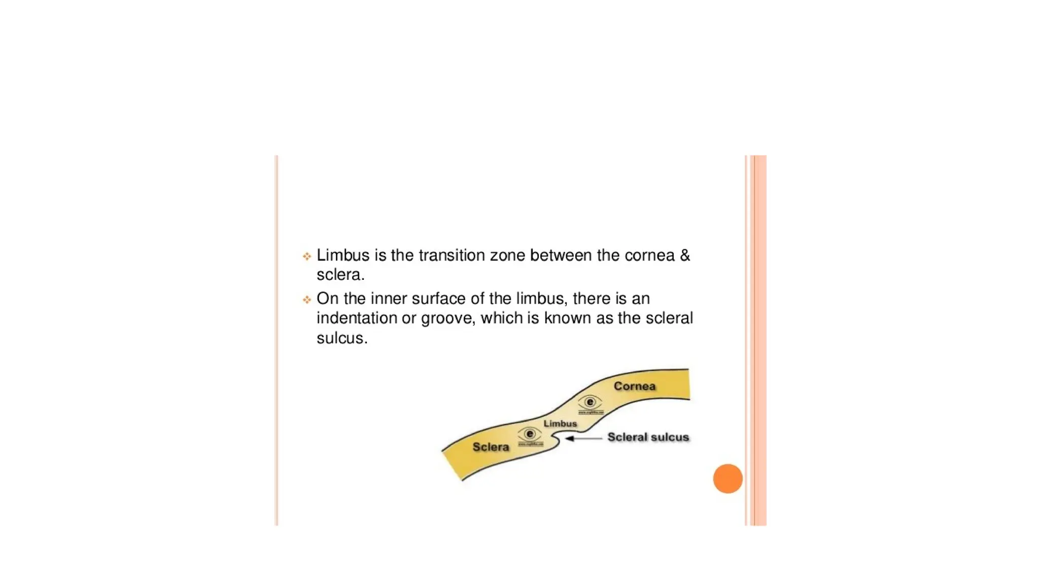 ANATOMY OF THE ANGLE OF THE EYE.ophthalmology | PPTX