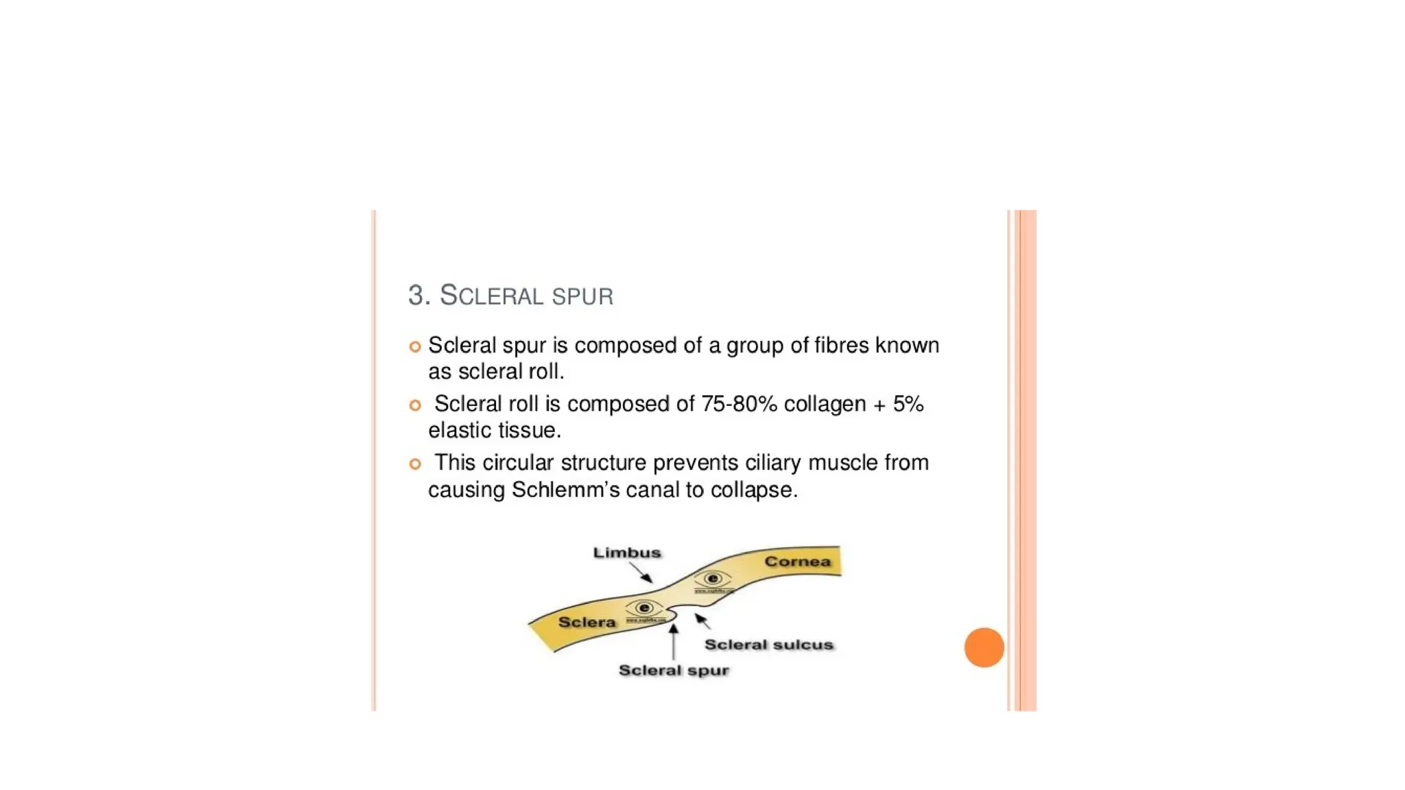 ANATOMY OF THE ANGLE OF THE EYE.ophthalmology | PPT