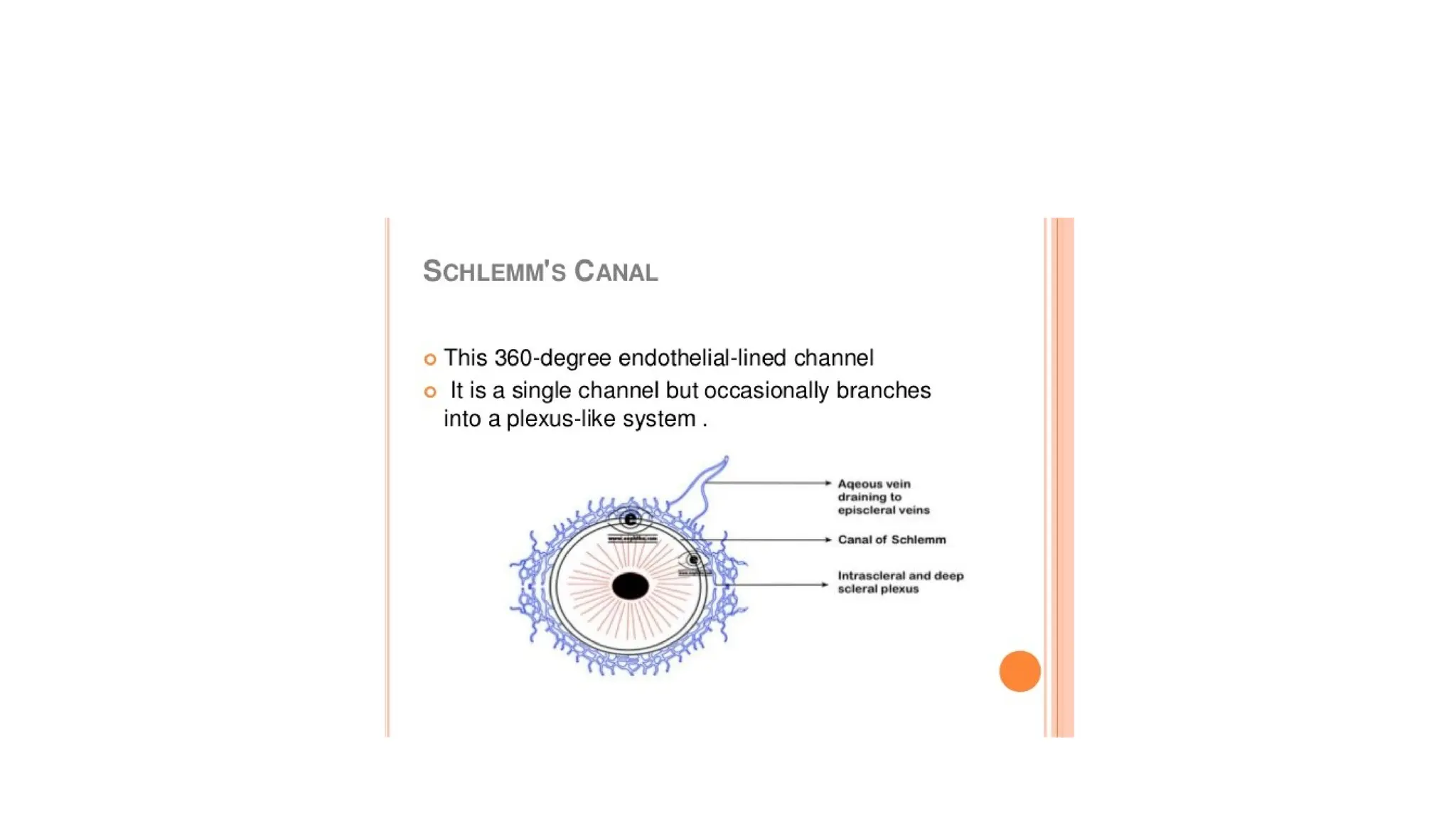ANATOMY OF THE ANGLE OF THE EYE.ophthalmology | PPT