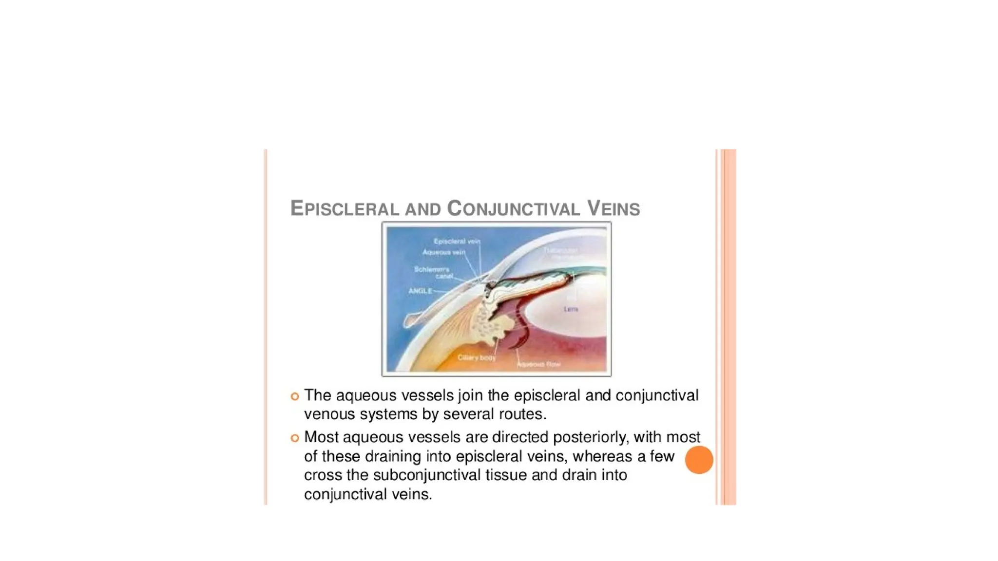ANATOMY OF THE ANGLE OF THE EYE.ophthalmology | PPT