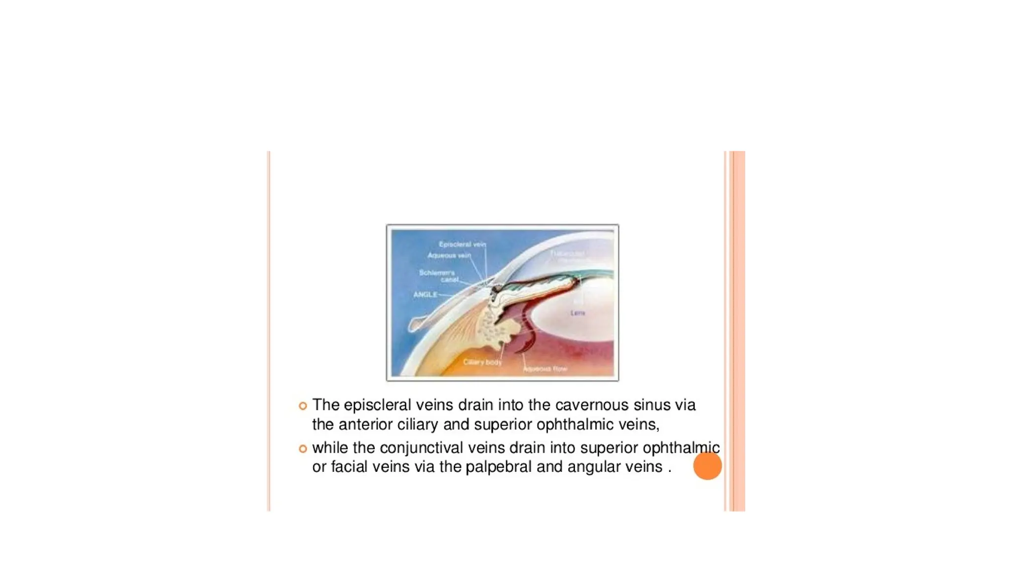 ANATOMY OF THE ANGLE OF THE EYE.ophthalmology | PPT