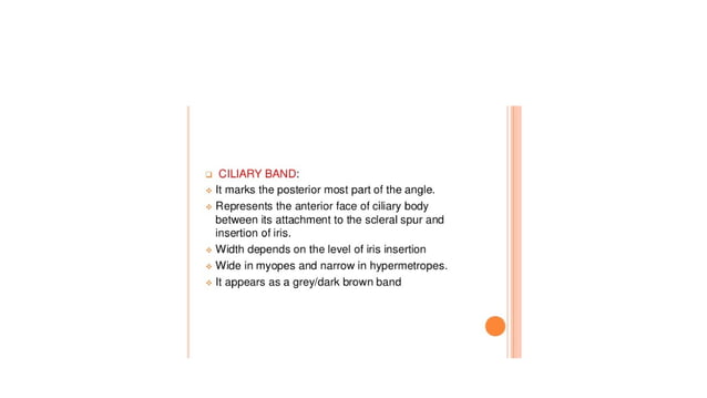ANATOMY OF THE ANGLE OF THE EYE.ophthalmology | PPTX