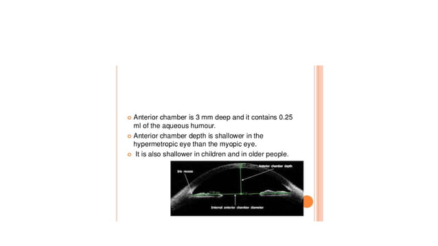 ANATOMY OF THE ANGLE OF THE EYE.ophthalmology | PPTX