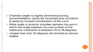 ANATOMY OF THE ANGLE OF THE EYE.ophthalmology | PPT