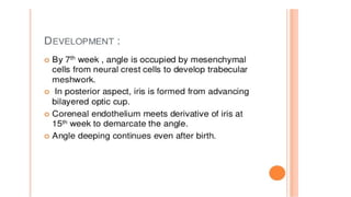 ANATOMY OF THE ANGLE OF THE EYE.ophthalmology | PPT