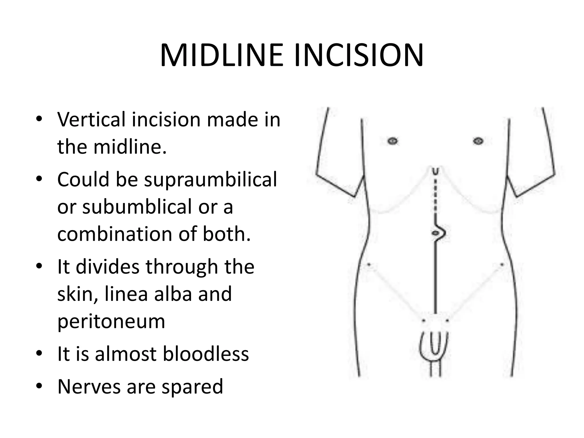 Anatomy of the anterior abdominal wall and incisions | PPTX