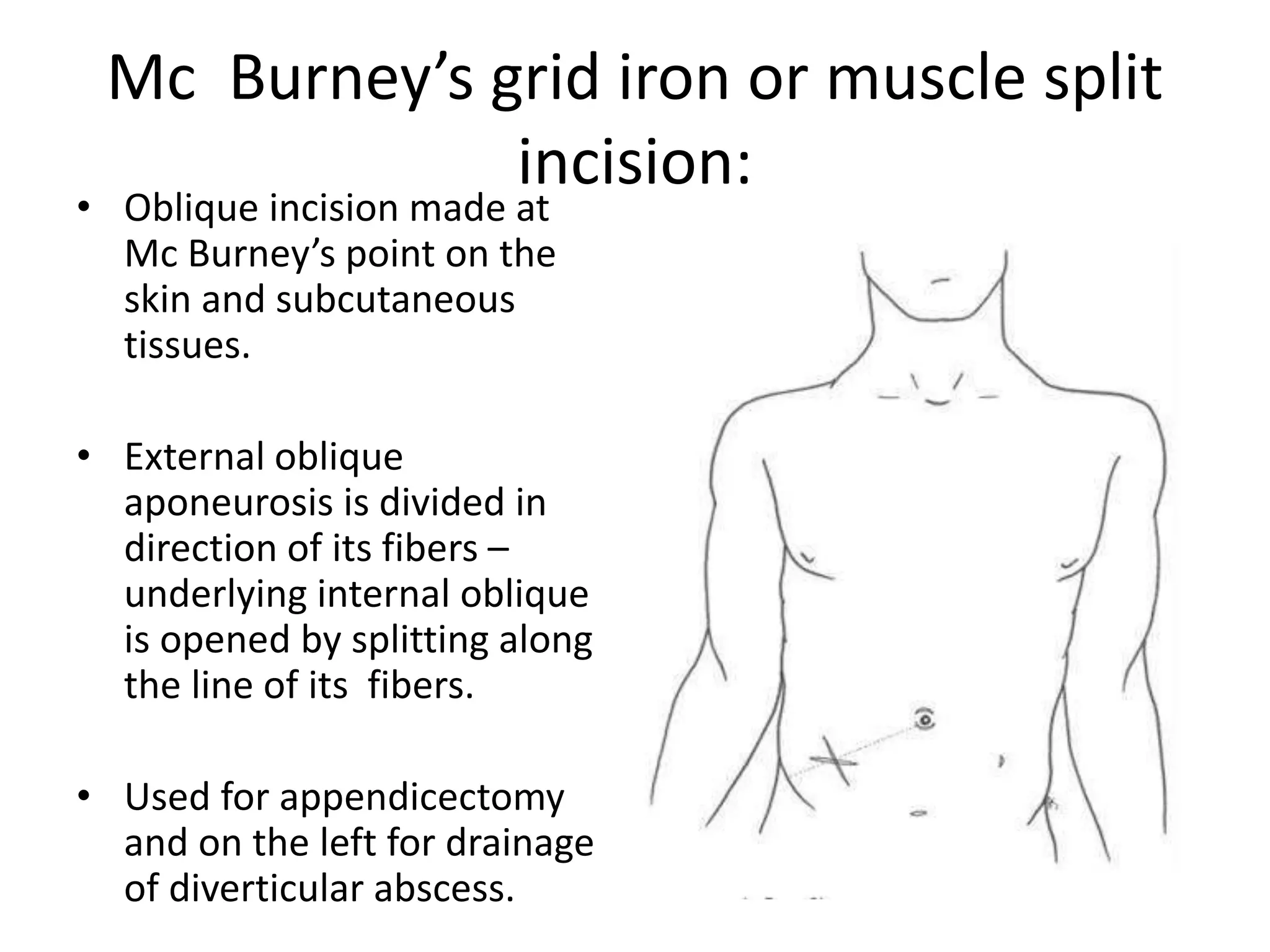 Anatomy of the anterior abdominal wall and incisions | PPTX
