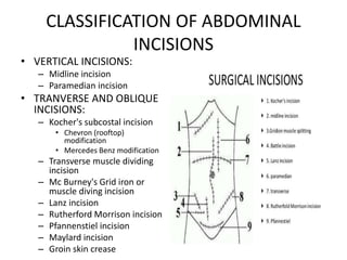 Anatomy of the anterior abdominal wall and incisions | PPTX | Death ...