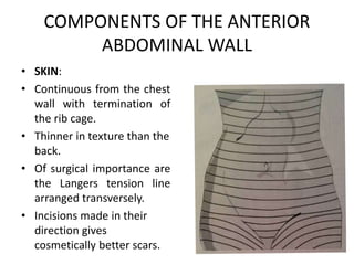 Anatomy of the anterior abdominal wall and incisions | PPTX