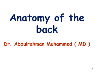 Anatomy of the Back.ppt