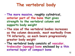 Anatomy of the Back.ppt