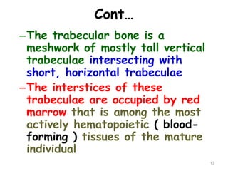 Anatomy of the Back.ppt
