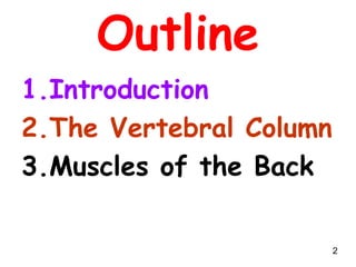 Anatomy of the Back.ppt