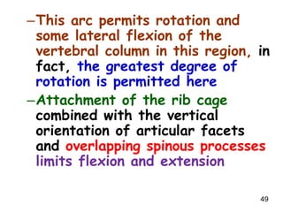 Anatomy of the Back.ppt