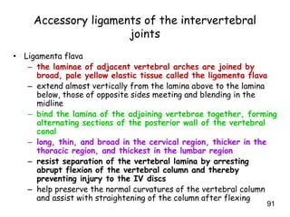 Anatomy of the Back.ppt
