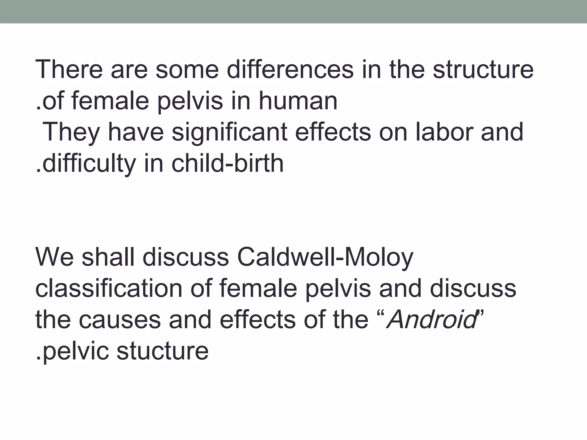 Anatomy of the Bony Pelvis: A Study In Android Structure | PPT