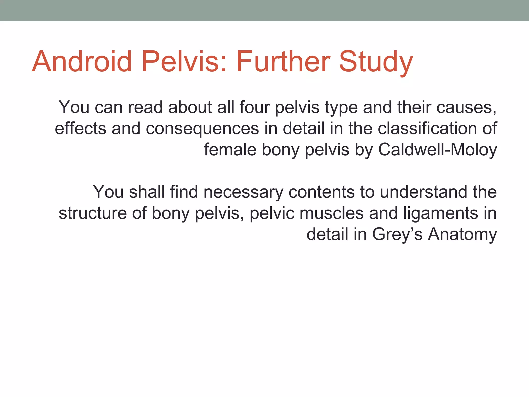 Anatomy of the Bony Pelvis: A Study In Android Structure | PPT