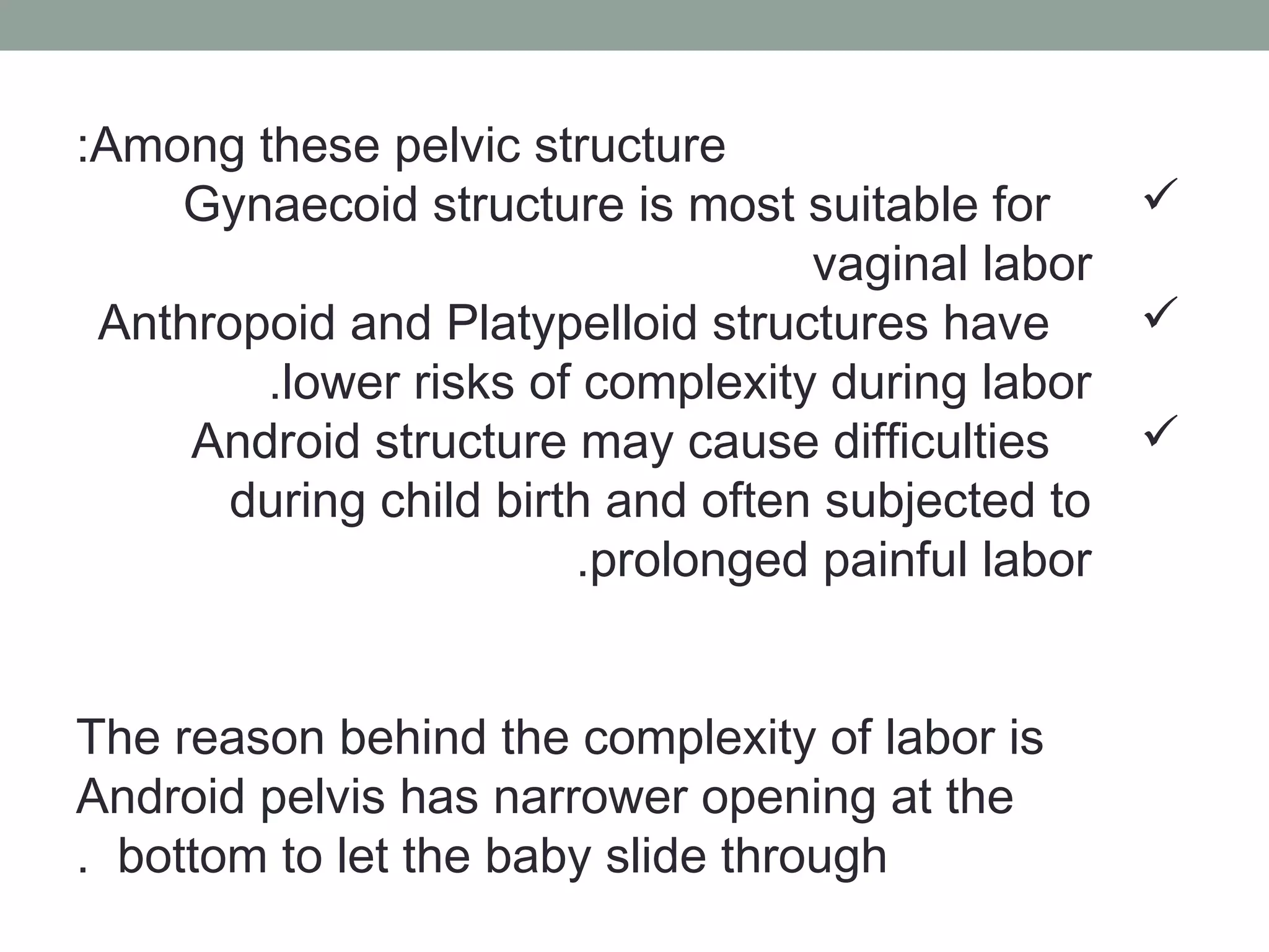 Anatomy of the Bony Pelvis: A Study In Android Structure | PPT