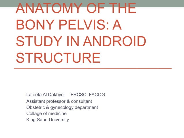 Anatomy of the Bony Pelvis: A Study In Android Structure | PPT