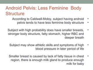Anatomy of the Bony Pelvis: A Study In Android Structure | PPT