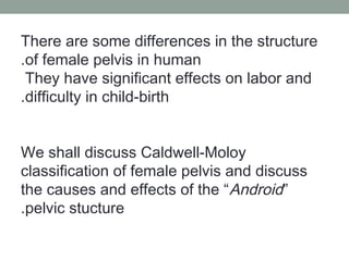 Anatomy of the Bony Pelvis: A Study In Android Structure | PPT
