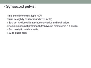 Anatomy of the Bony Pelvis: A Study In Android Structure | PPT