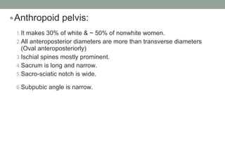 Anatomy of the Bony Pelvis: A Study In Android Structure | PPT