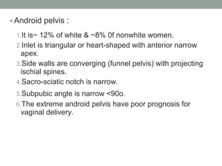 Anatomy of the Bony Pelvis: A Study In Android Structure | PPT