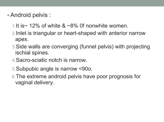 Anatomy of the Bony Pelvis: A Study In Android Structure | PPT