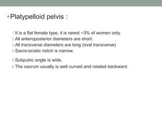 Anatomy of the Bony Pelvis: A Study In Android Structure | PPT