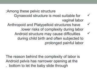 Anatomy of the Bony Pelvis: A Study In Android Structure | PPT