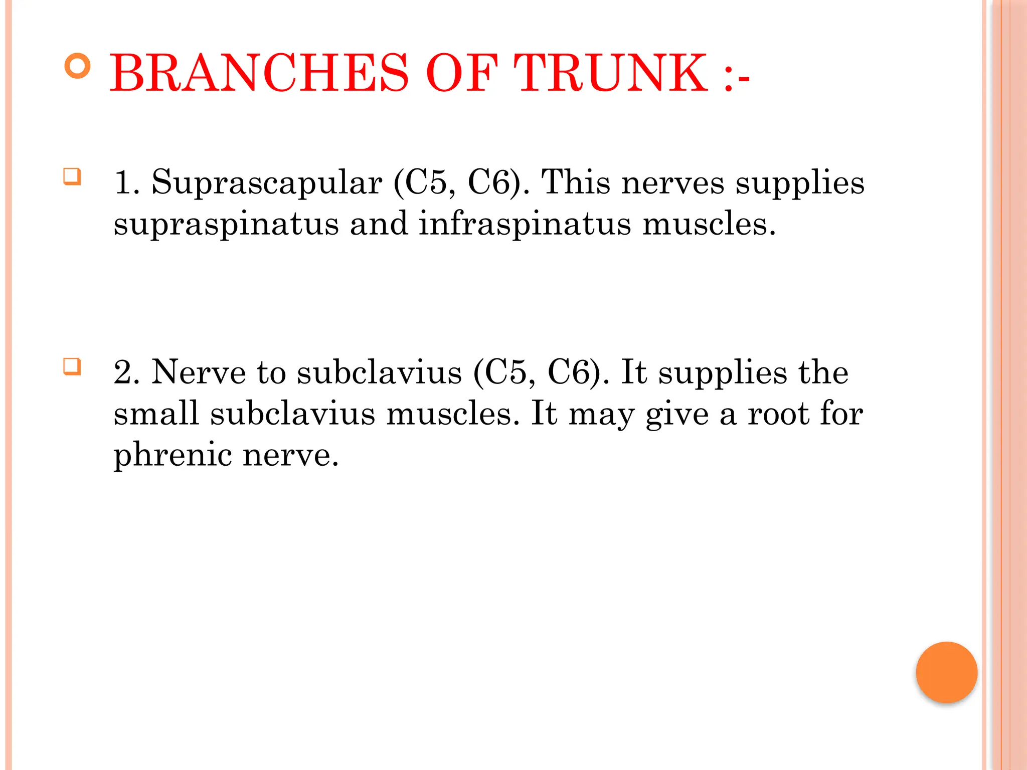 Anatomy of the Brachial Plexus.pAnatomy of the Brachial Plexus.pptxptx | PPTX