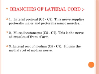 Anatomy of the Brachial Plexus.pAnatomy of the Brachial Plexus.pptxptx ...